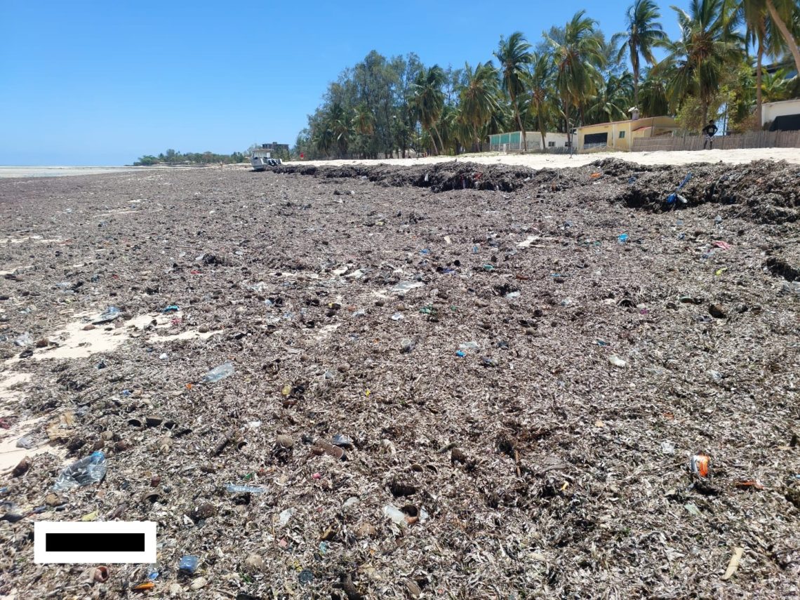 Poluição do mar Moçambique – Moz24h