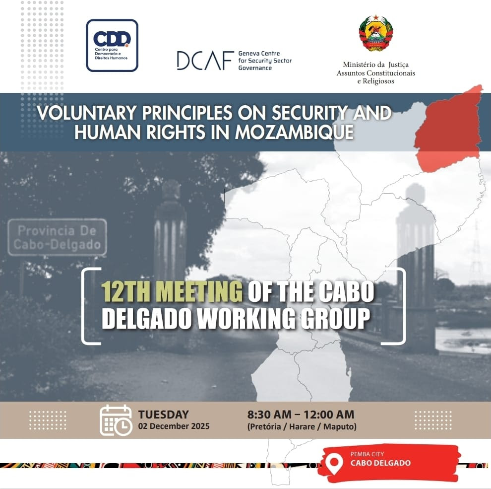 Voluntary Principles on Security and Human Rights – Cabo Delgado ...